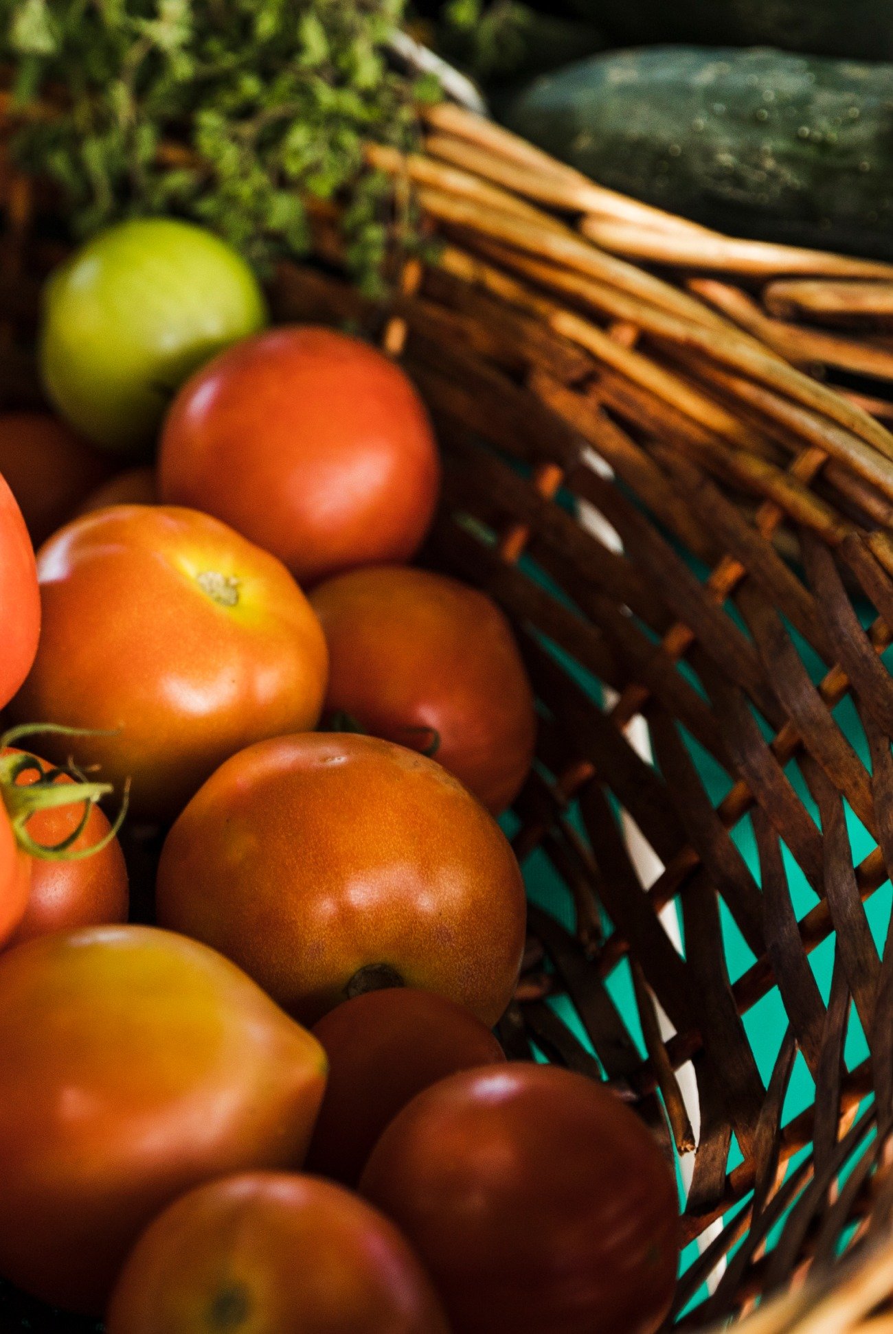 Illaj Tomato - Illaj Holdings