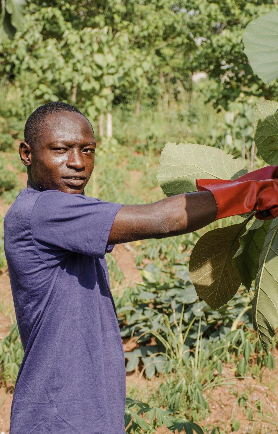 Illaj AgroProcessing - Illaj Holdings